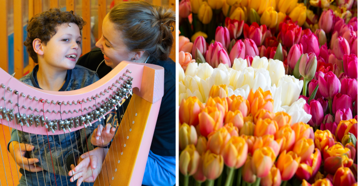 Nieuwsberichten van SDW | SDW